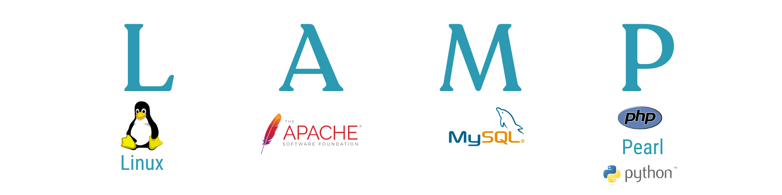 Tech Stack | Überblick der Top-Technologien | 2022